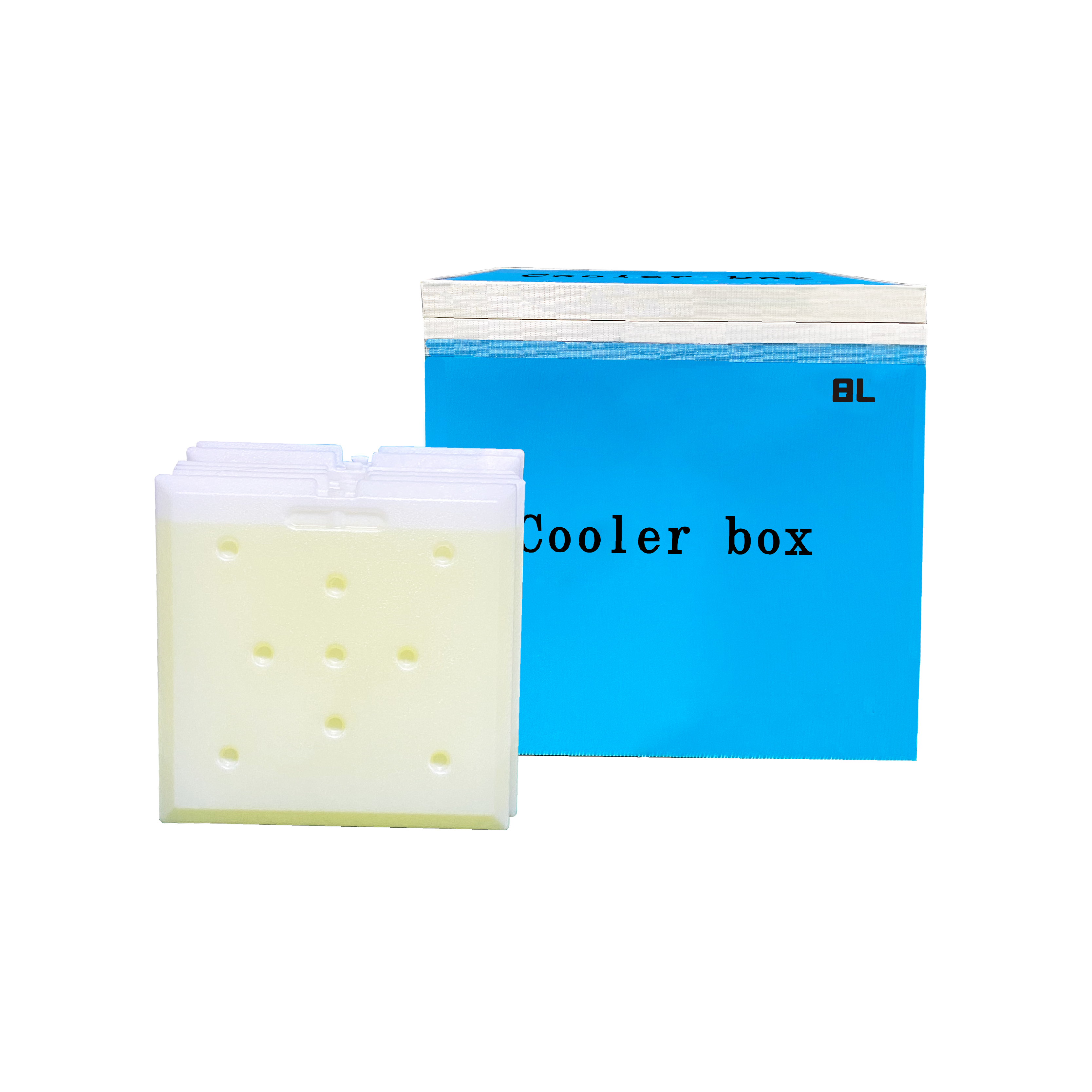 VIP Insulation Box with 72H Insulation & 6 Ice Packs